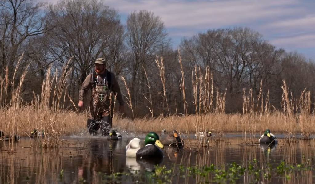 How to Dress for Duck Hunting (The Complete Clothing Guide)